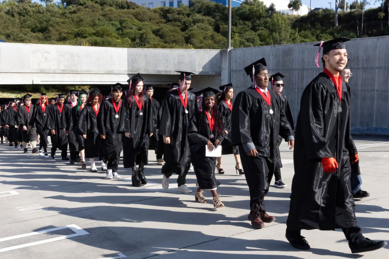 The Organization – Middle College National Consortium